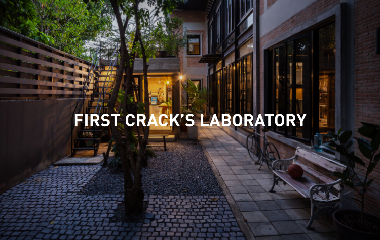 First Crack’s Laboratory | IAMEVERYTHING.CO